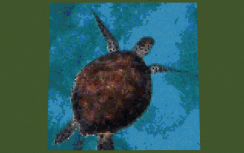 Minecraft Pixel art creations - 9