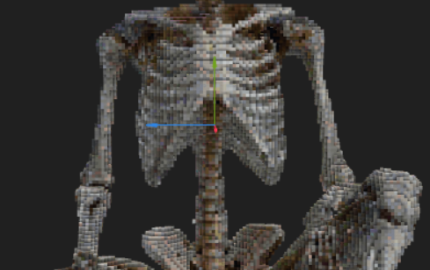 Skeleton | Minecraft Miscellaneous Build #22271