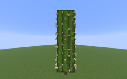 Cactus farm | Minecraft Miscellaneous Build #29978